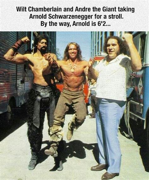 Arnold Schwarzenegger Choppa Meme