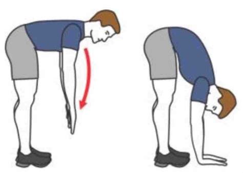 10 Exercices Détirement Pour Assouplir Lensemble De Son Corps