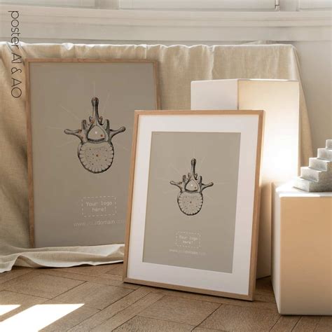 Lumbar Vertebrae Superior View Educaredesign