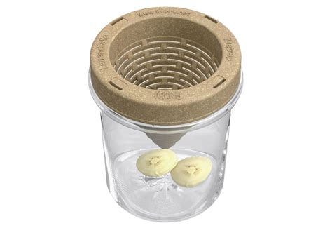 Frubby® Fruit Fly Live Trap Environmentally Friendly And Effective