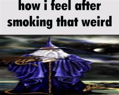 Got Me Unwise R Rsloshredit
