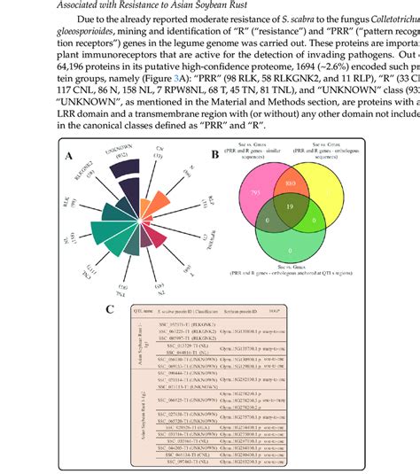 R And Prr Genes Mining A Classification Of R And Prr Genes Download Scientific