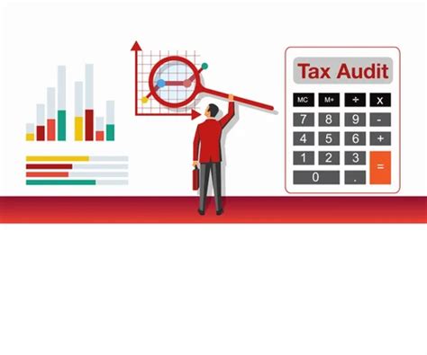 Service Tax Audit Service In Gautam Budh Nagar Id 2848948902962