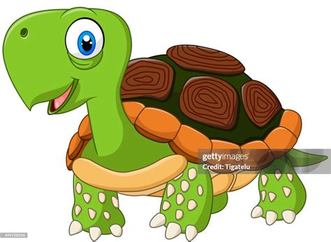 Cartoon Funny Turtle Isolated On White Background High Res Vector
