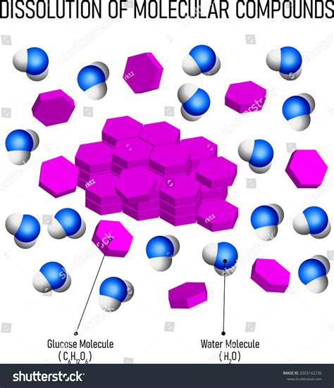 Molecular Dissolution Process Dissolving Sugar เวกเตอร์สต็อก ปลอดค่าลิขสิทธิ์ 2003142236