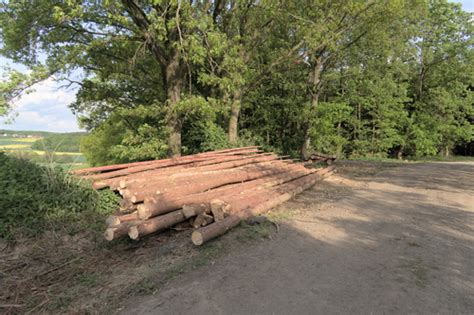 Cjxl Cant Read Jxl It Has Just Generated · Issue 2193 · Libjxllibjxl · Github