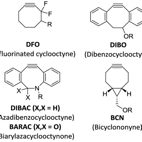 18 Basic Linker Design For Disulfide To Lysine Conjugation The Enzyme