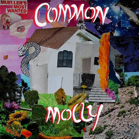 Molly Album Cover