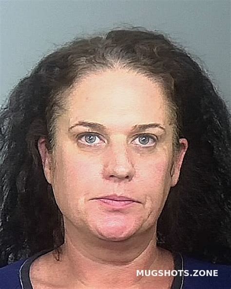 Dinnie Diane J 08242023 Manatee County Mugshots Zone