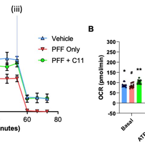 The Compound Treatment Prevents The Mitochondrial Dysfunction Induced Download Scientific