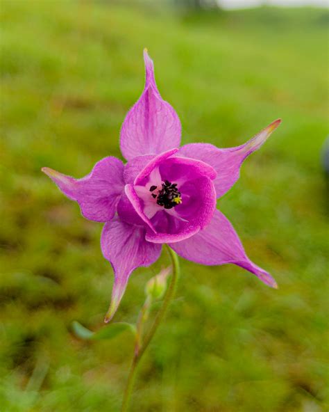 Biotic And Abiotic Components In An Ecosystem Photos Download The Best