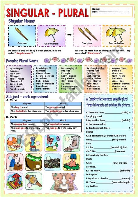 Singular And Plural Nouns Worksheet For Young Esl Learners