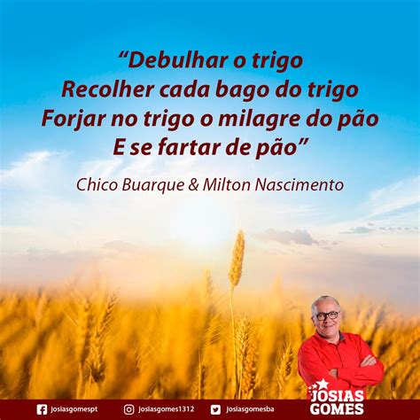 Dia Do Trigo Josias Gomes