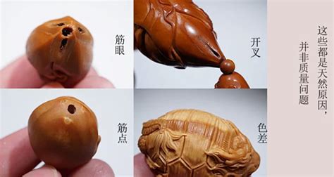 橄榄核雕龙龟单核单籽 精品纯手工核雕单个吊坠 淘宝网 花瓣网