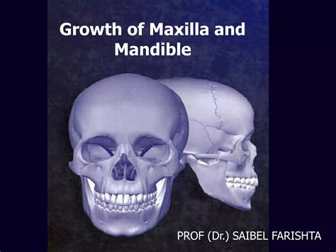 Growth And Development Of Maxilla Ppt