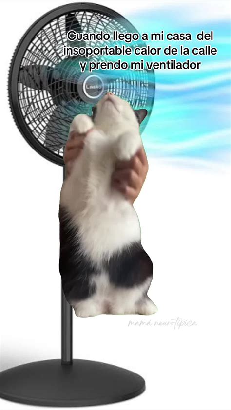 Memes Del Sol Hoy Frases Barbie On X Cfwfaqn9ab X