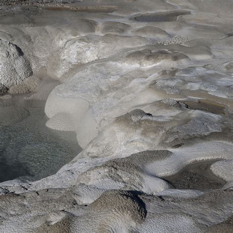 M Robert Markovich Home