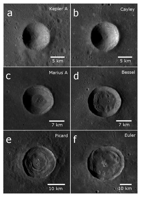 Figures And Figure Captions Figure 1 The Progression From Simple To Download Scientific