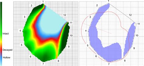 Tomogram Left And Layermap Right Of A Quercus Robur Tree Infected