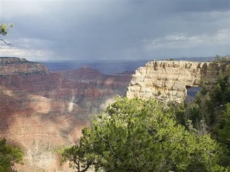 Kaibab National Forest Jacob Lake 2021 All You Need To Know Before