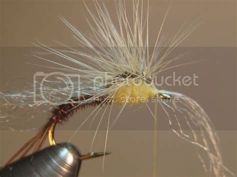 Quigleys Loopy Cripple Sbs Fly Fishing Flies Pattern Fly Tying