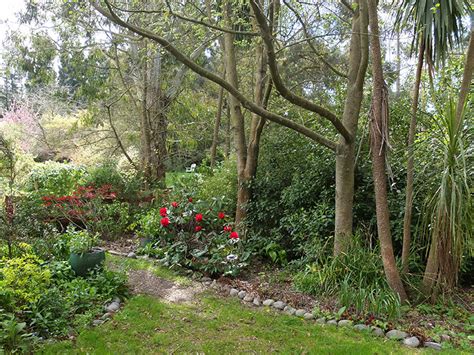 Introducing The Jelly Bean Border