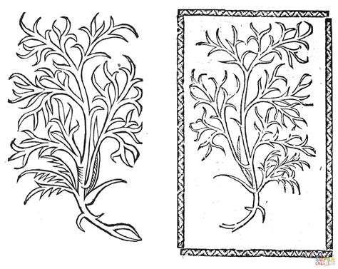Dillen 1497 1500 Coloring Page Free Printable Coloring Pages