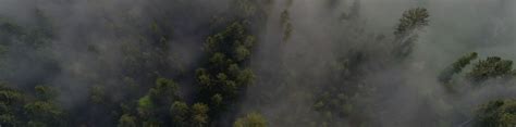 Ueli Steiner Carbon Standards International Ag Linkedin