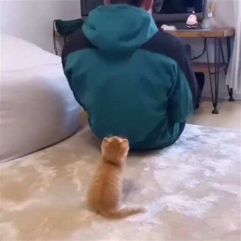 Dr Biswapriya Misra On Linkedin Statistics Bias Correlation Causation T Thankgoditsfriday