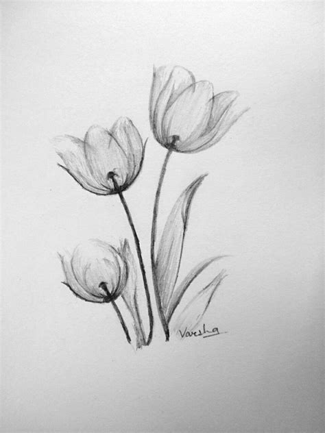 Flower Shading Drawing A Step By Step Guide For Beginners