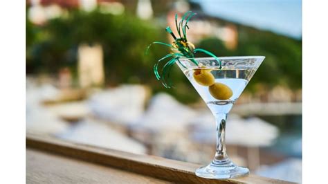 Cheers To Worry Free Fun Plastic Martini Glasses