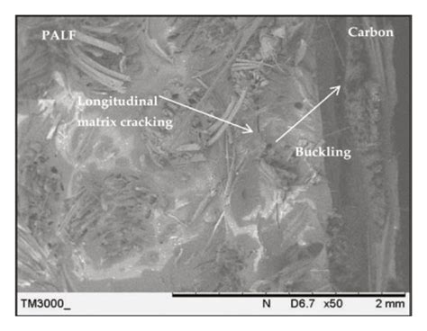Sem Image Of The Laminate With A Carbon Ply Exterior Cppc And Ply Download Scientific Diagram