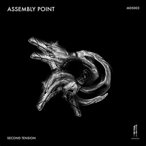 Second Tension Assembly Point Monolith Rec Music And Downloads On
