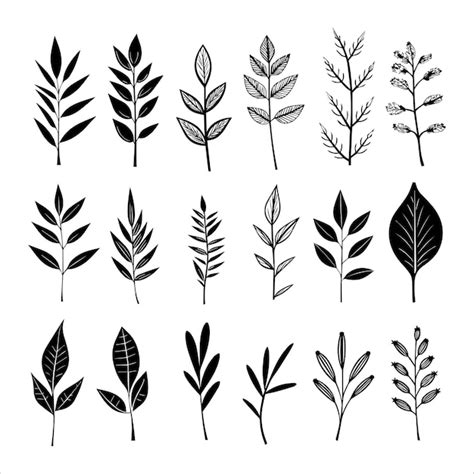 Premium Ai Image Captivating Bw Leaf Collage