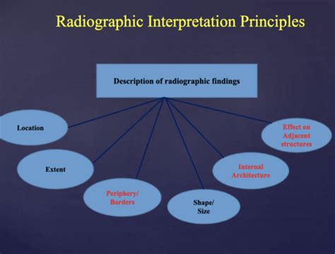 Radio Radiographic Interpretation Descriptive Terminology Flashcards