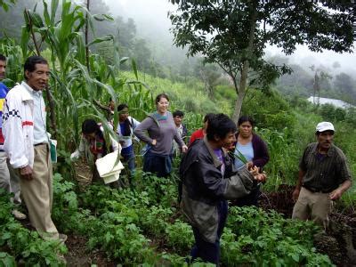 Uncovered Environmental Conservation In Guatemala