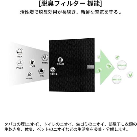 Deodorizing Filter Passionair