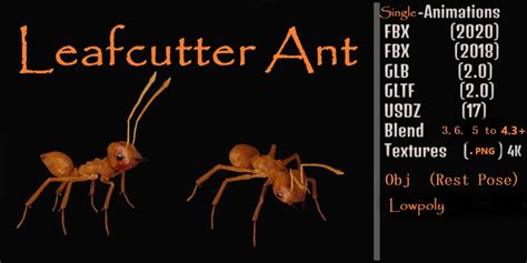 Leafcutter Ant Insect Flippednormals