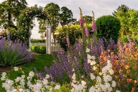 Granted The T Of Time At Oakwood Gardens — Wasim Muklashy