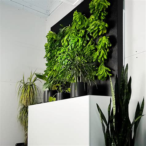 Grow Wall Just Vertical Commercial