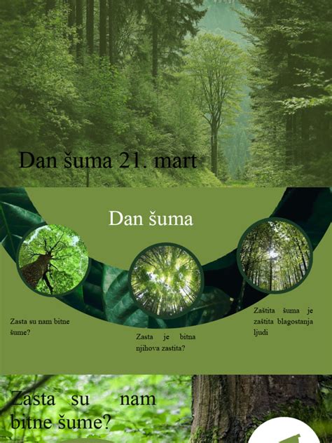 Dan Suma Pdf