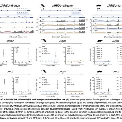 Comparison Of Global Gene Expression Profiles For Normal And