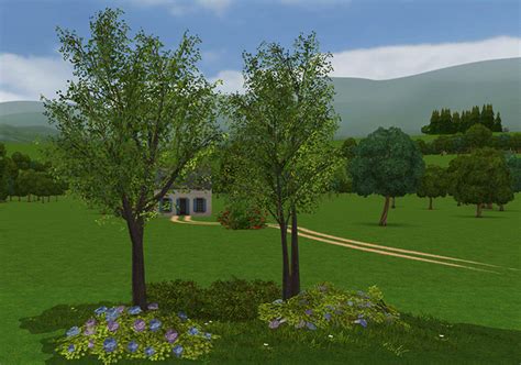 4t2 Jungle Adventures Brazilwood Tree Artofit