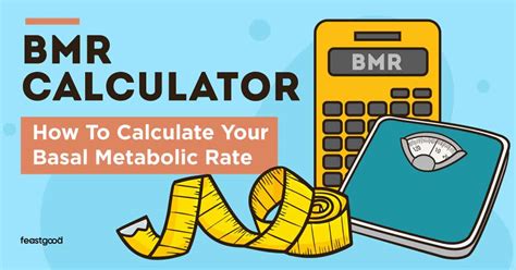 Bmr Calculator How To Calculate Your Basal Metabolic Rate