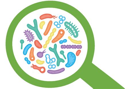 Embracing The Animal Microbiome