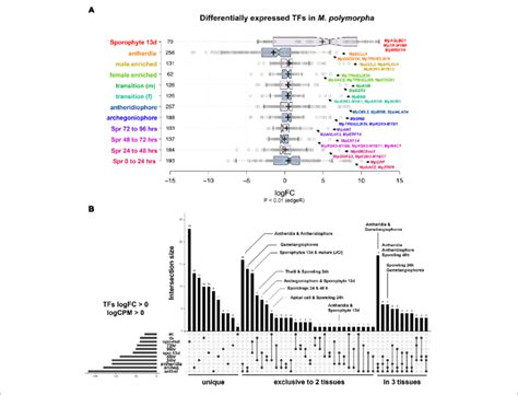 Differential Gene Expression Analysis In M Polymorpha A Boxplots
