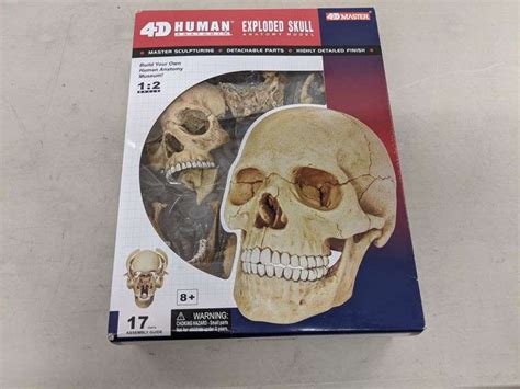 Lot Of 16 4d Human Anatomy Exploded Skull Anatomy Model Dutch Goat