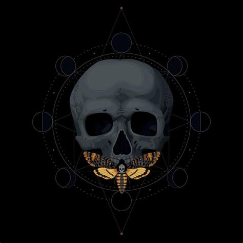 Page 3 Skull Moth Vector Art Icons And Graphics For Free Download