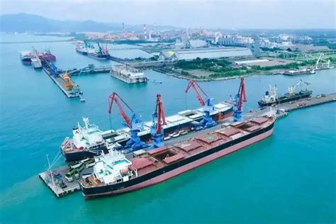 Ptp Nonpetikemas Tingkatkan Layanan Dengan Sistem Digital Ptosm Dan