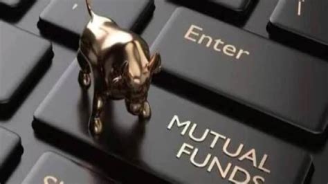Be Careful While Investing In New Mutual Funds Invest Money Only After Thorough Investigation नए